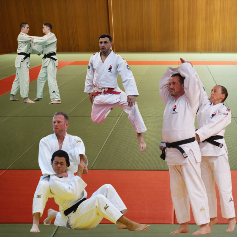 Kata et progression : les conseils de l'équipe de France kata - Secrets ...